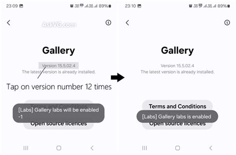 Tip Enable Hidden Secret Gallery Labs Option In Samsung Phones AskVG