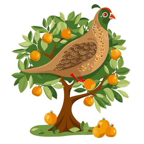 A Partridge In A Pear Tree Vector Sticker Clipart Cartoon Pheasant