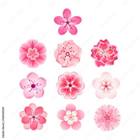 Pink Cartoon Flowers