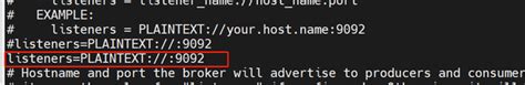 Kafka Connection To Node Could Not Be Established