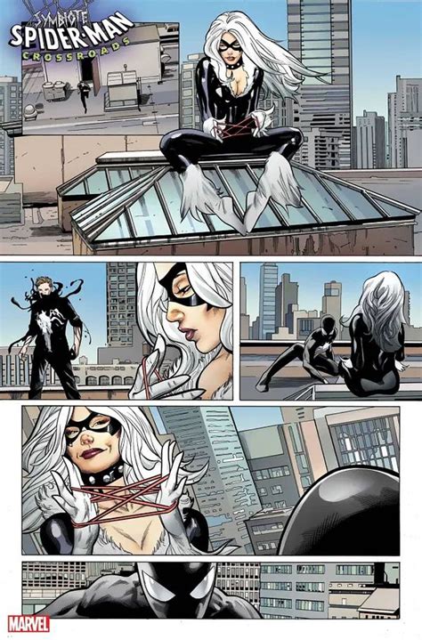 Spider Man Nostalgia Meets Hulk Nostalgia At The Crossroads Black Cat