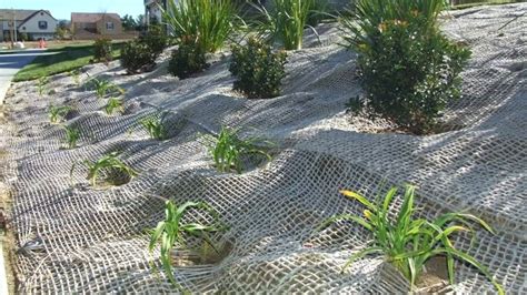 What Is Jute Mesh And How Can You Use It
