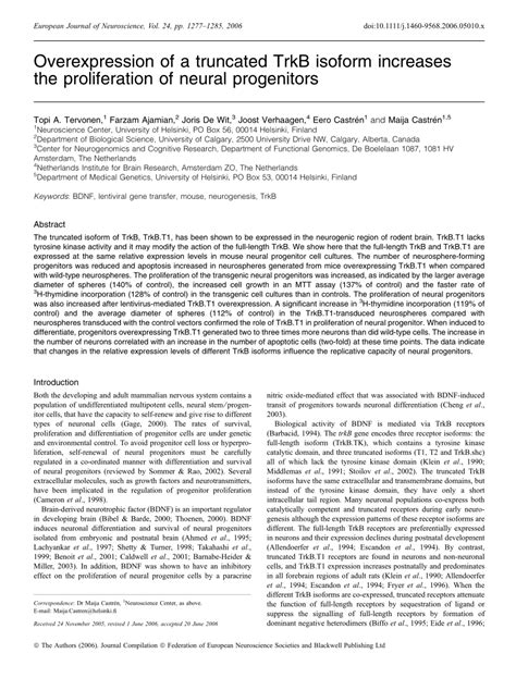 Pdf Overexpression Of A Truncated Trkb Isoform Increases The