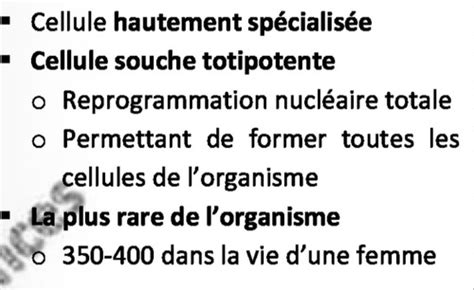 Ovocyte Mature Cartes Quizlet