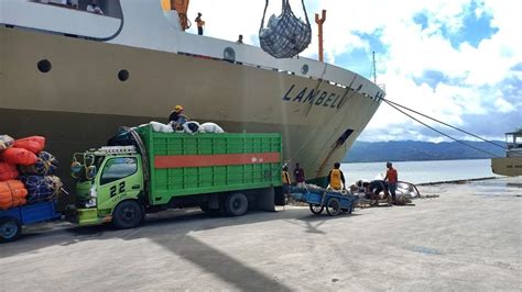 Jadwal Kapal Pelni KM Lambelu Rute Parepare Balikpapan Bulan Juli 2024