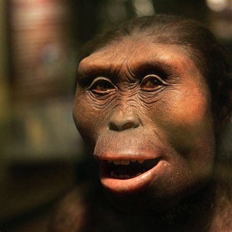Australopithecus Food