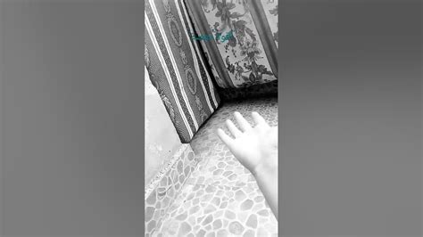 أقوى بعصة Youtube