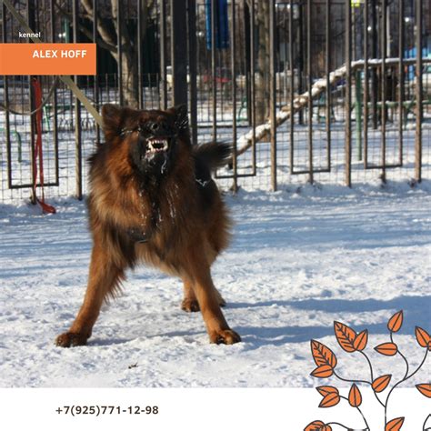 Статьи Alex Hoff ВКонтакте