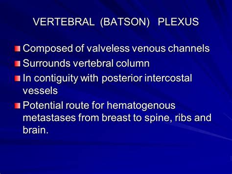 Exams And Me Batson Venous Plexus