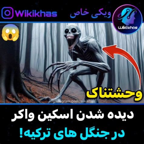 ‎ویکی خاصعجایبحقایقماورا‎ ‎کدوم اسلاید براتون جالب تر بود ؟ 👉ورق