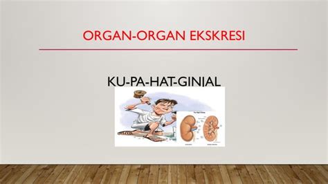 Ppt Video Pembelajaran Untuk Kelas Xi Pptx