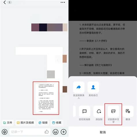 ocr识别软件哪个好用 91攻略网