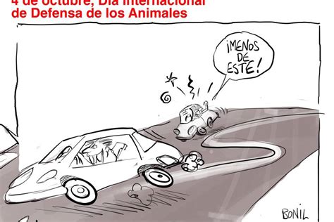 Un fósil de ballena hallado en Perú podría ser el animal más pesado de