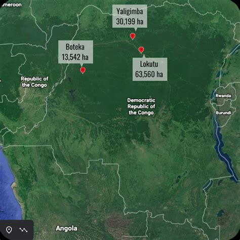 Colonialism Revamped In The Democratic Republic Of Congo African