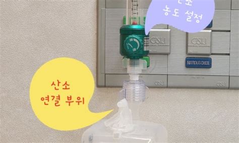 뇌출혈 환자의 약물 치료와 두개내압 정상범위 Iicp 네이버 블로그