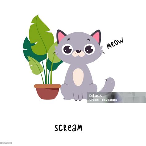 재미있는 회색 고양이 비명 야옹 소리 로서 영어 동사 치고는 교육 활동 벡터 일러스트 가축에 대한 스톡 벡터 아트 및 기타
