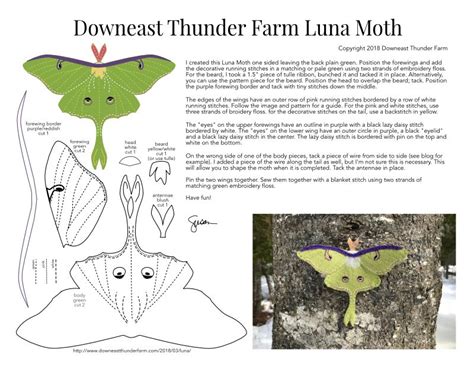 The Lovely Luna Moth Downeast Thunder Farm