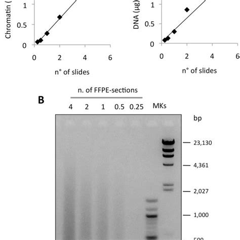Setting Of Chromatin Extraction Conditions For Low Quantity Of Starting