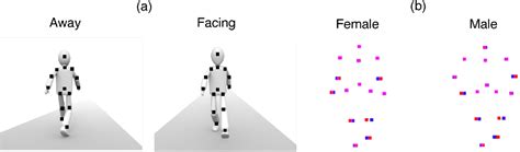 figure 1 from the gender based facing bias in 3 d biological motion