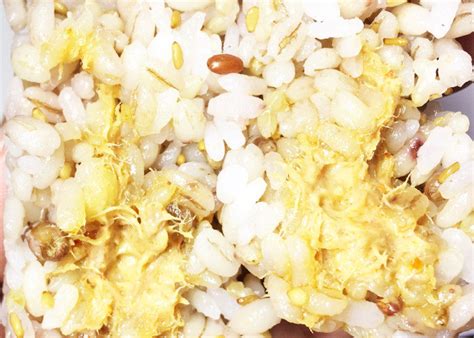 セブン『五穀ごはんおむすび スパイシーツナ』食べてみたよ！│とりぷるセブン