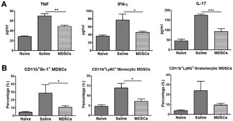 Adoptive Transfer Of Mdscs Isolated From The Spleen Of Colitis Mice