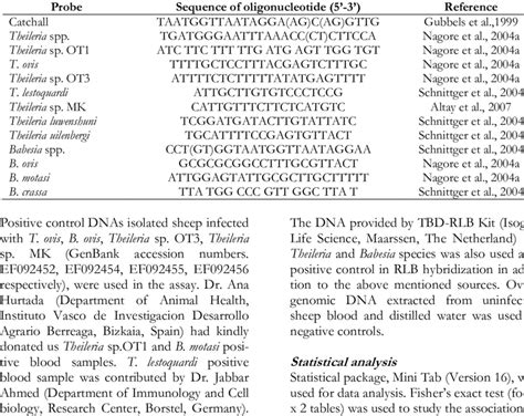 sequence of oligonucleotide probes hybridized on the membrane
