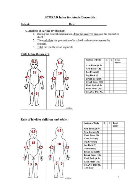 Acaai Scorad Index For Atopic Dermatitis With Photographs Pdf