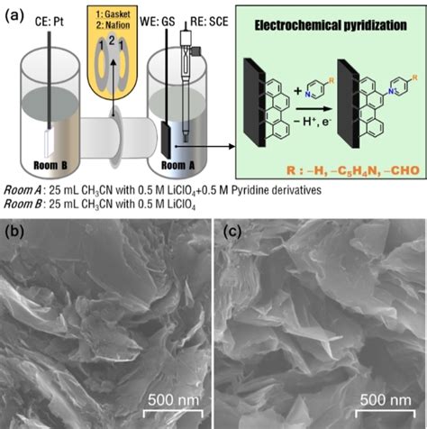 A Illustration For The Preparation Of Pyridine Derivatives Conjugated Download Scientific