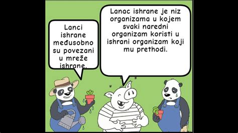 Na Zanimljiv NaČin Predstavljen Lanac Ishrane U Prirodi Pogledajte