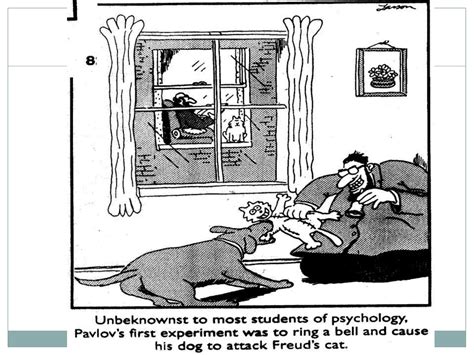 Ap Chapter 6 Learning Ppt Classical Conditioning Operant Condition