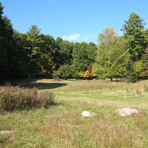 Millicent Scott Gardner Memorial Forest Society
