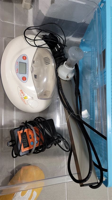 알콤부화기 육추기 온도조절기 당근마켓 중고거래