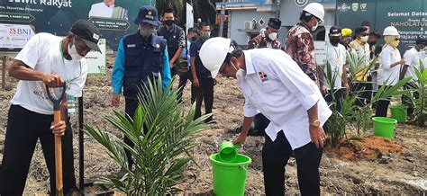 BPDPKS Kolaborasi Dengan Berbagai Pihak Demi Capai Target Percepatan ...