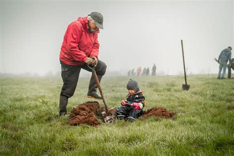 Urban Trials Using Adapted Japanese Tree Planting Method Deliver Higher