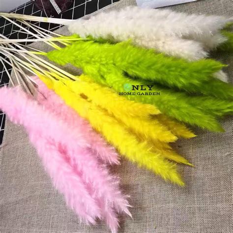 Onlyhomegarden🔥free Box🔥pampas Dry Grass Pampass Dried Flower Natural