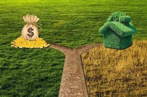 物理学概念“半衰期”帮你破除选择无能 知乎