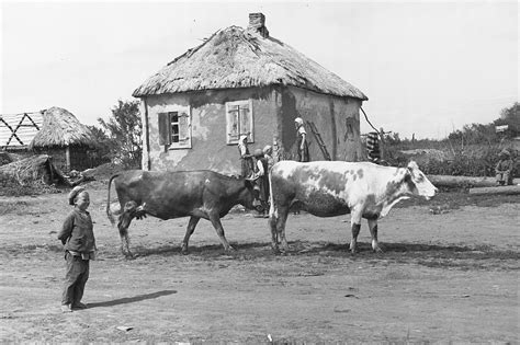 Лица советской эпохи Часть 310 1942 Белгородская деревня на снимках