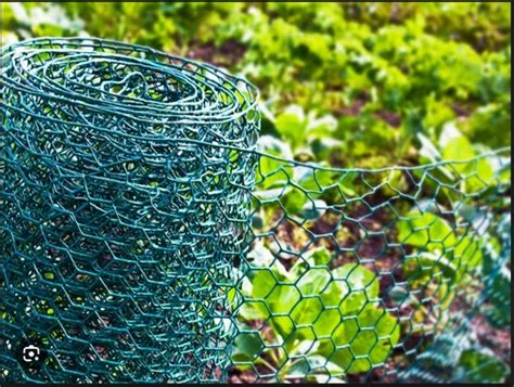 Hdpe Tree Gaurd Net At ₹ 60 Number In Nagpur Id 20966775491