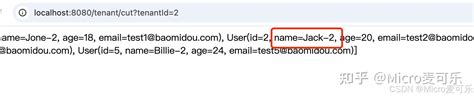 Mybatis Plus Dynamic Datasource Saas