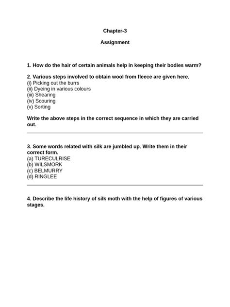 chapter 3 assignment pdf
