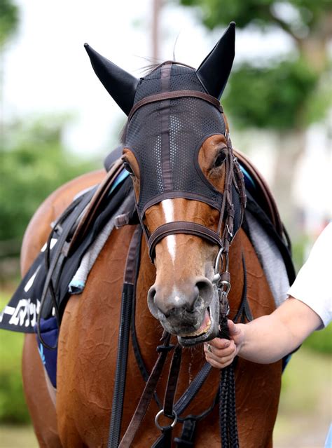 【北九州記念】ピューロマジックが逃げ切り葵sに続く重賞連勝 3歳牝馬は21年ヨカヨカ以来のv スポーツ報知