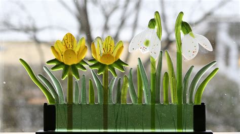 Winteraconites And Snowdrops Caroline Hertz Glaskunst Blomster Planter