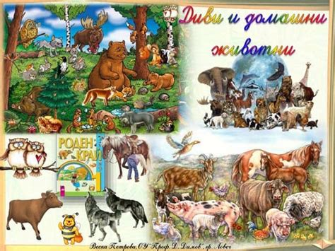 Какво научих за безопасното поведение ОС 2 клас в п Pptx