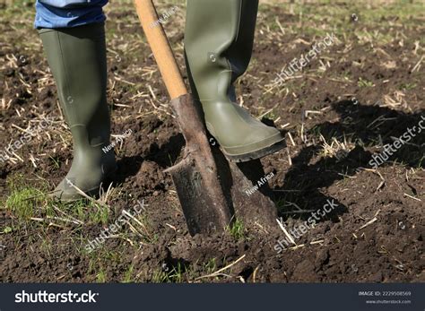 Man Digging Soil Shovel Field Closeup Stock Photo Shutterstock
