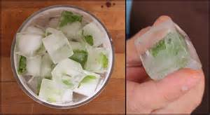 Mint Ice Cubes The Cavender Diary
