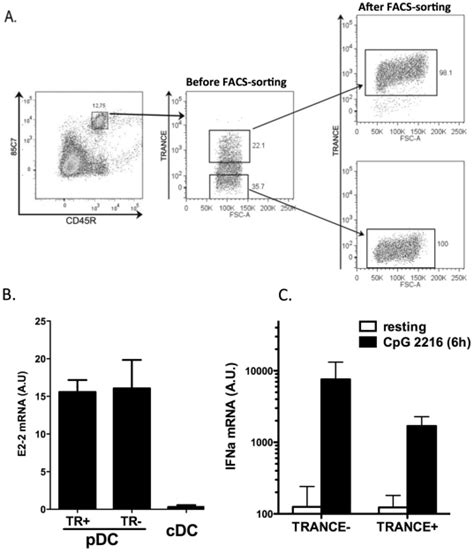A Gating Strategy For Isolating Trance And − Spleen Pdc After