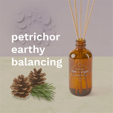 Rainwater Mountain Air Reed Diffuser Vim Vigor Candle Co