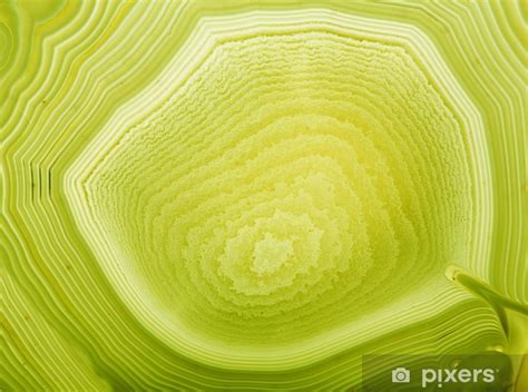 Wall Mural Green Agate Schistose Structure Background PIXERS US