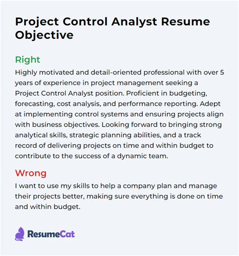 Top 18 Project Control Analyst Resume Objective Examples