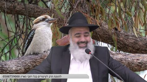 באמצע הטיול ביער נחש ארסי טיפס על יוסי והוא צרח צרחה עד שלפתע מצחיק ומחזק Youtube